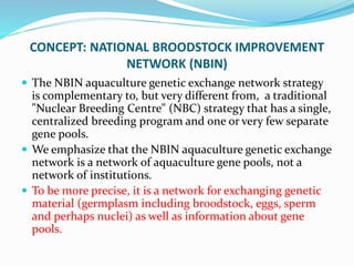 National Broodstock Improvement Network (NBIN) | PPT
