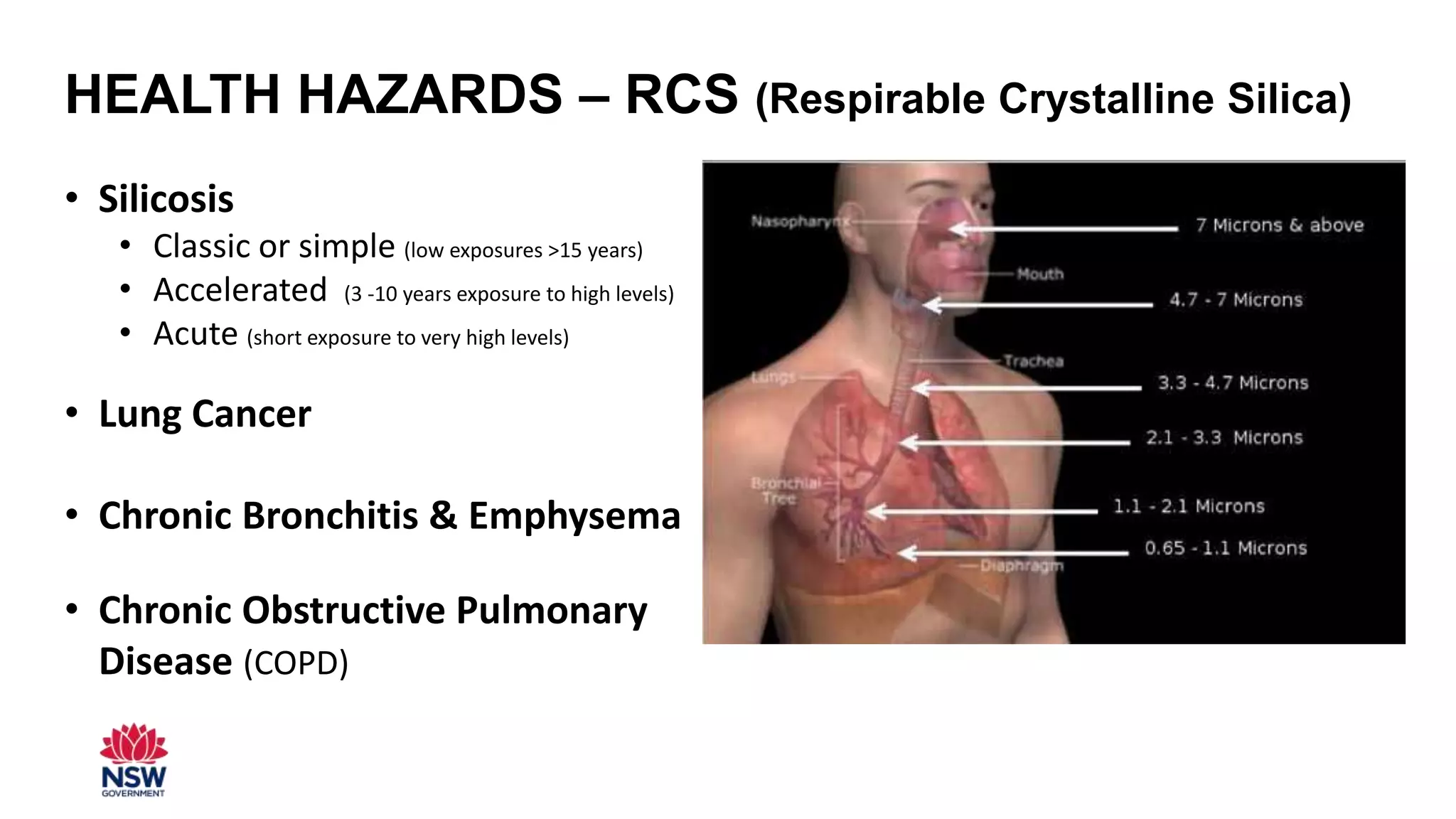 08 dust safety and health surveillance | PPTX