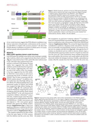PDE4 Nature Biotech 2010 | PDF