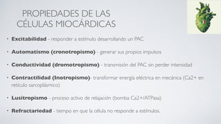 08 Electrocardiograma, bases fisiológicas, adquisición, ECG normal y ...
