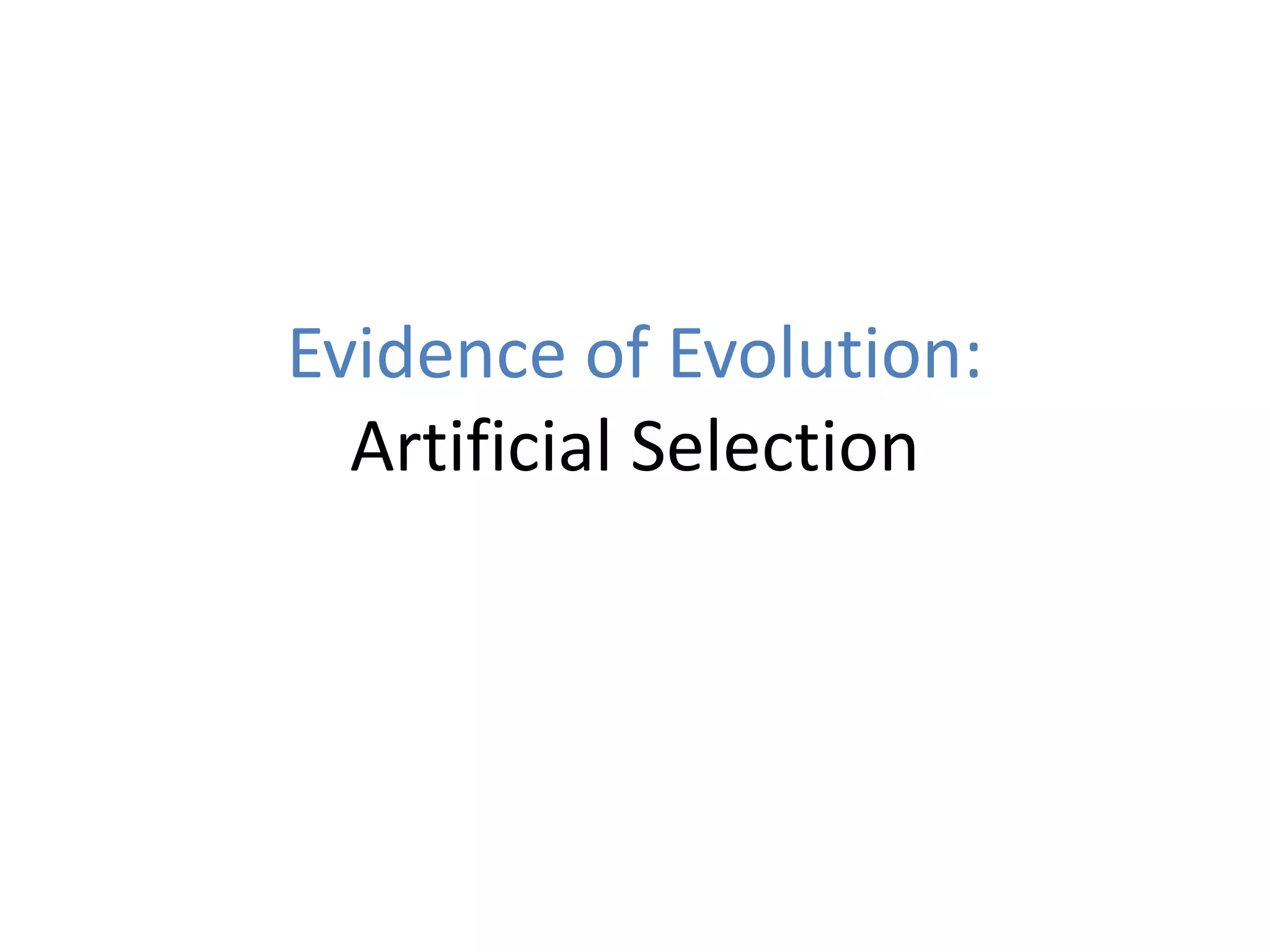 08 evidence of evolution artificial selection | PPTX