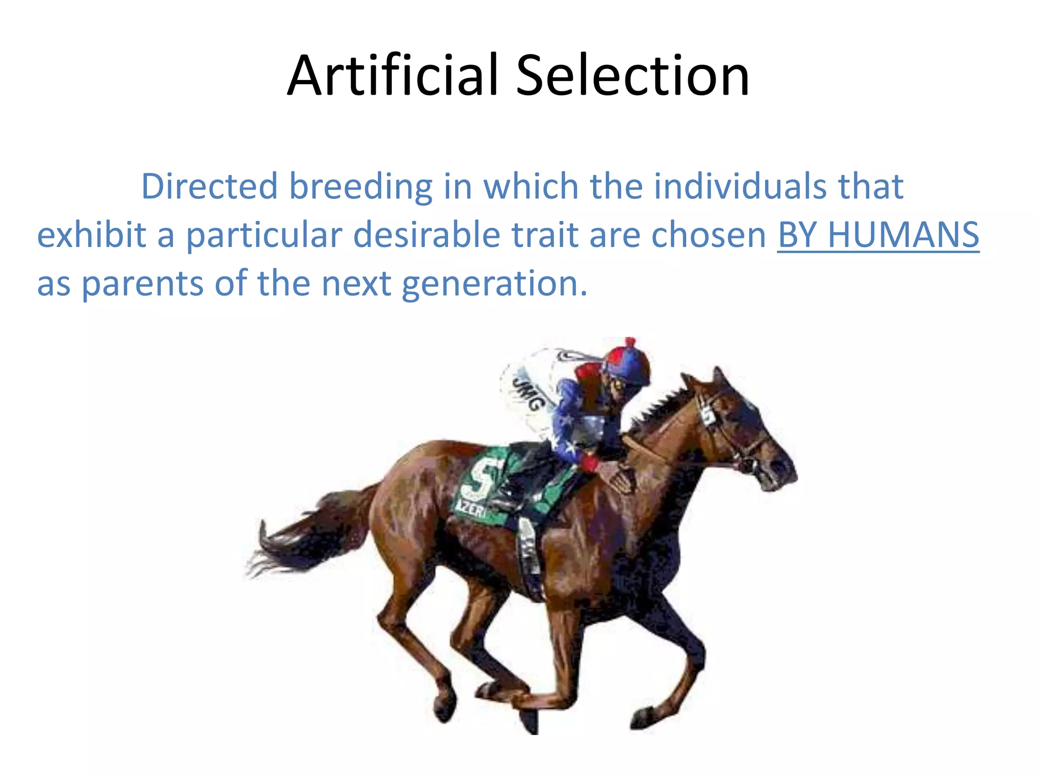 08 evidence of evolution artificial selection | PPTX