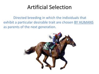 08 evidence of evolution artificial selection | PPTX