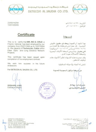 DETECON AL SAUDIA | PDF