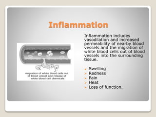 Overview of Oral Inflammation | PPTX | Dental Health | Diseases and ...