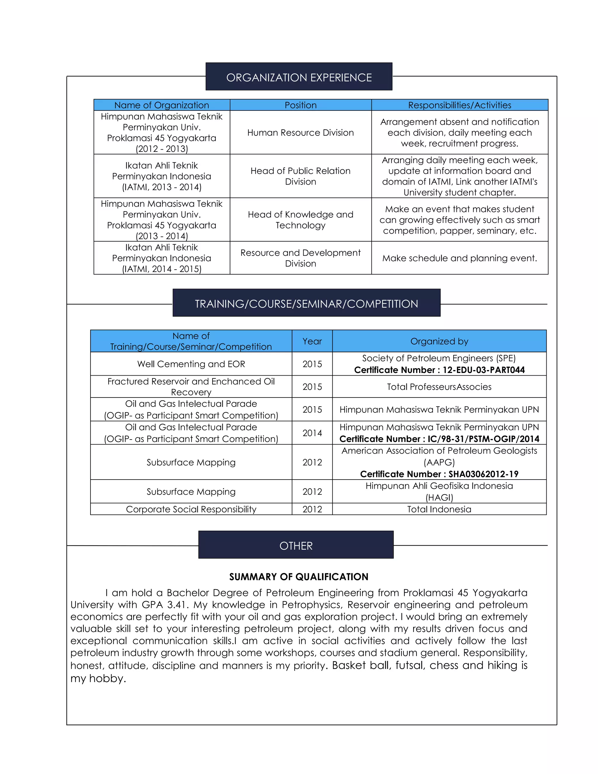 CV - Dicky Pratama Syarief | PDF