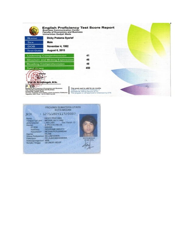 CV - Dicky Pratama Syarief | PDF