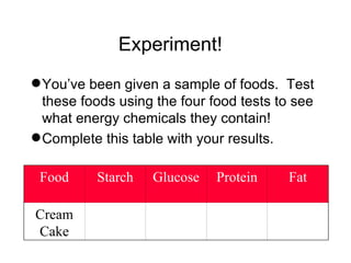 Y7 Life 08 food tests | PPT