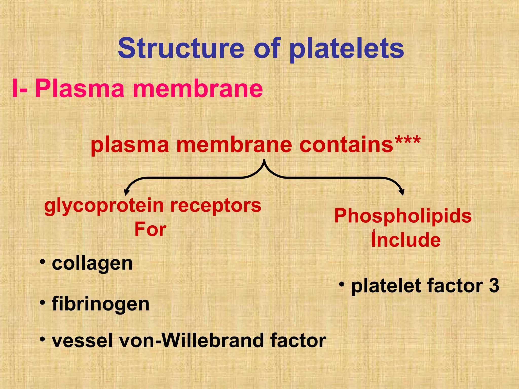 Blood #5, Platelets & Hemostasis - Physiology | PPT