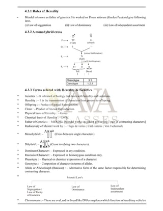 Heredity and Evolution class 10 Science Study Material pdf download | PDF