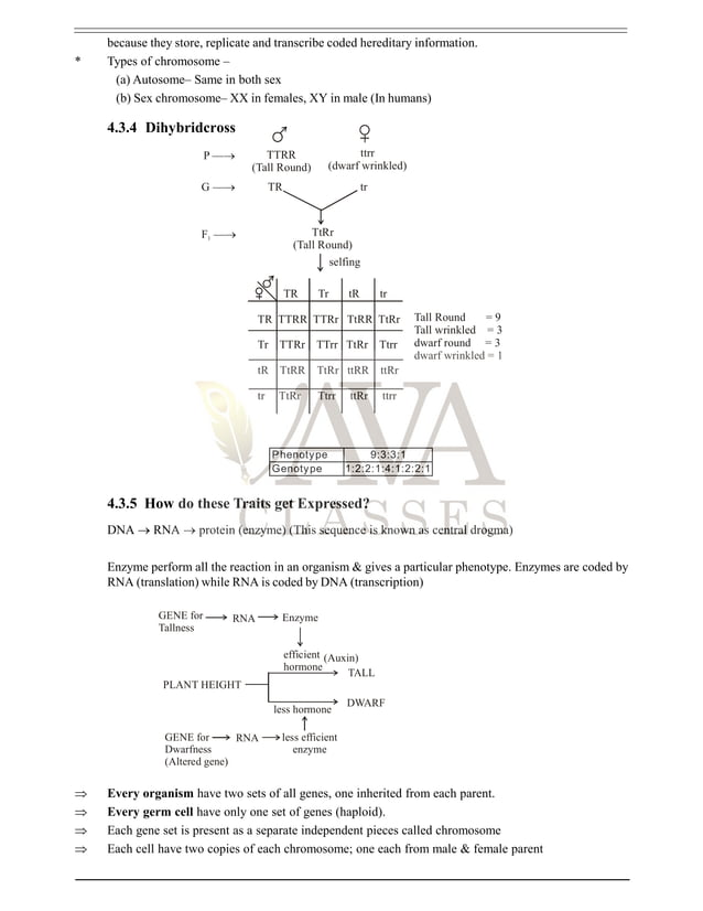 Heredity and Evolution class 10 Science Study Material pdf download | PDF