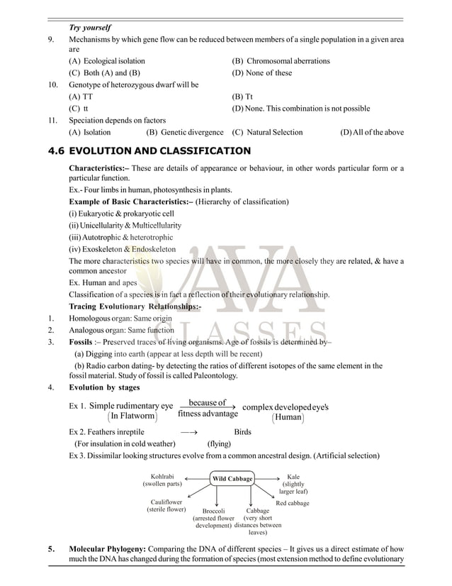 Heredity and Evolution class 10 Science Study Material pdf download | PDF
