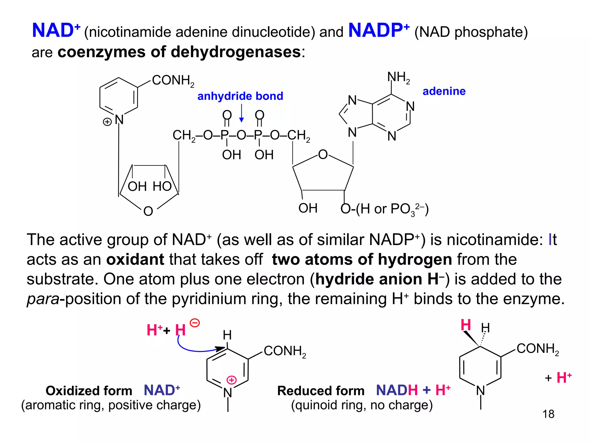 08 heterocyclic compounds | PPT