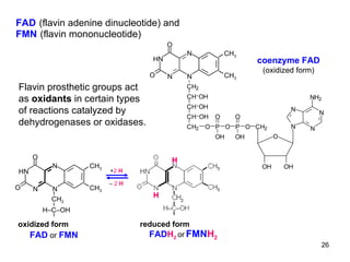 08 heterocyclic compounds | PPT