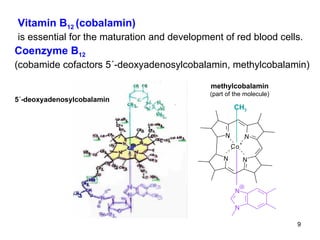 08 heterocyclic compounds | PPT