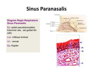 _08__Histologi_Sistema_Respiratoria-dr.Tri_1.pdf