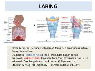 _08__Histologi_Sistema_Respiratoria-dr.Tri_1.pdf