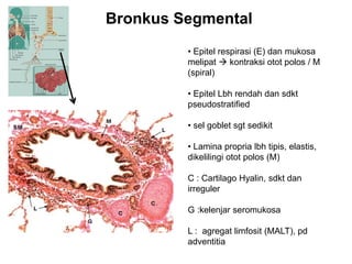 _08__Histologi_Sistema_Respiratoria-dr.Tri_1.pdf