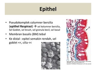 _08__Histologi_Sistema_Respiratoria-dr.Tri_1.pdf