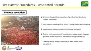 08_Innovative_technologies_and_fintech_solutions_for_post_harvest ...