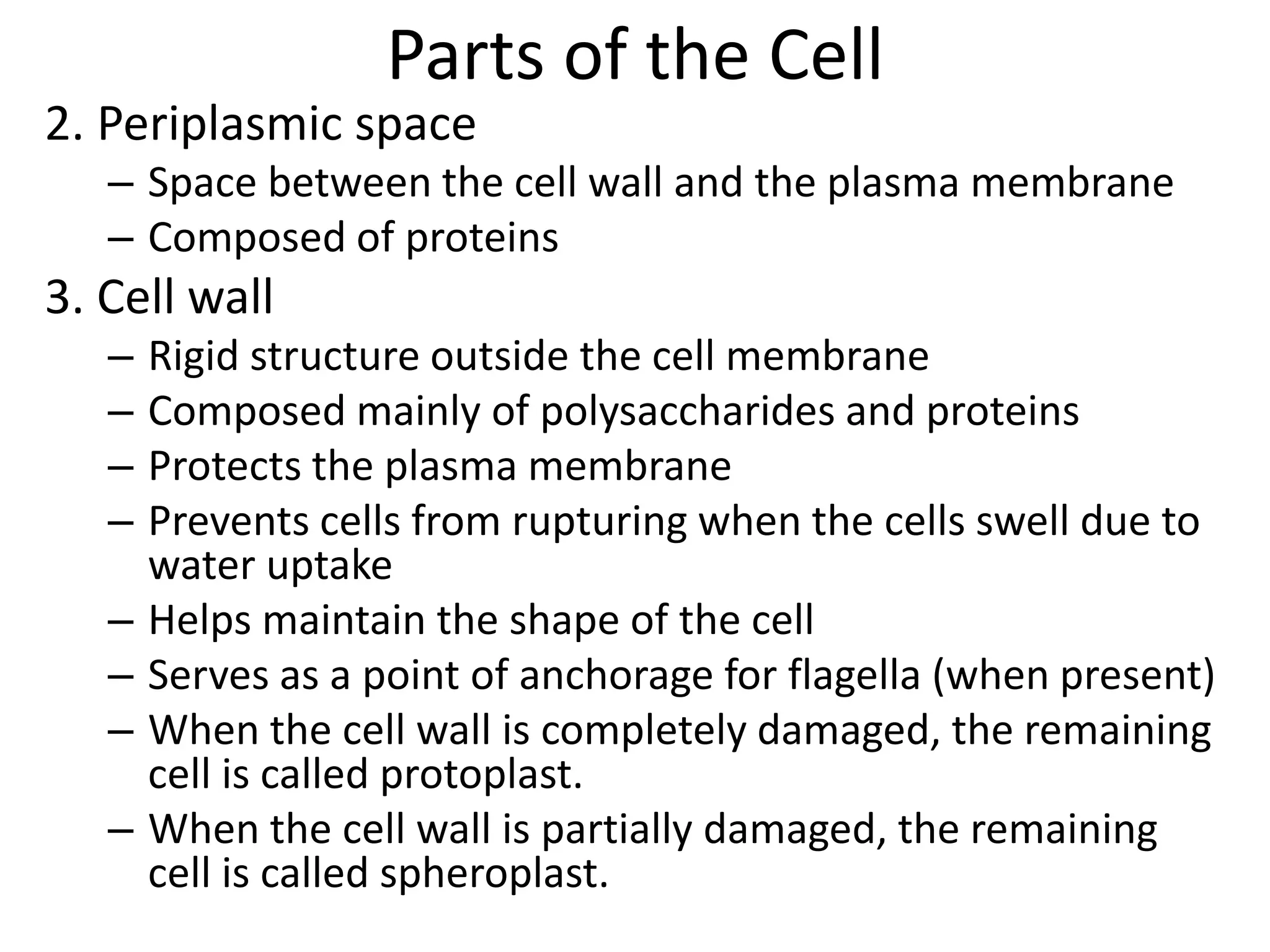 08 introduction to cell biology ii | PPTX