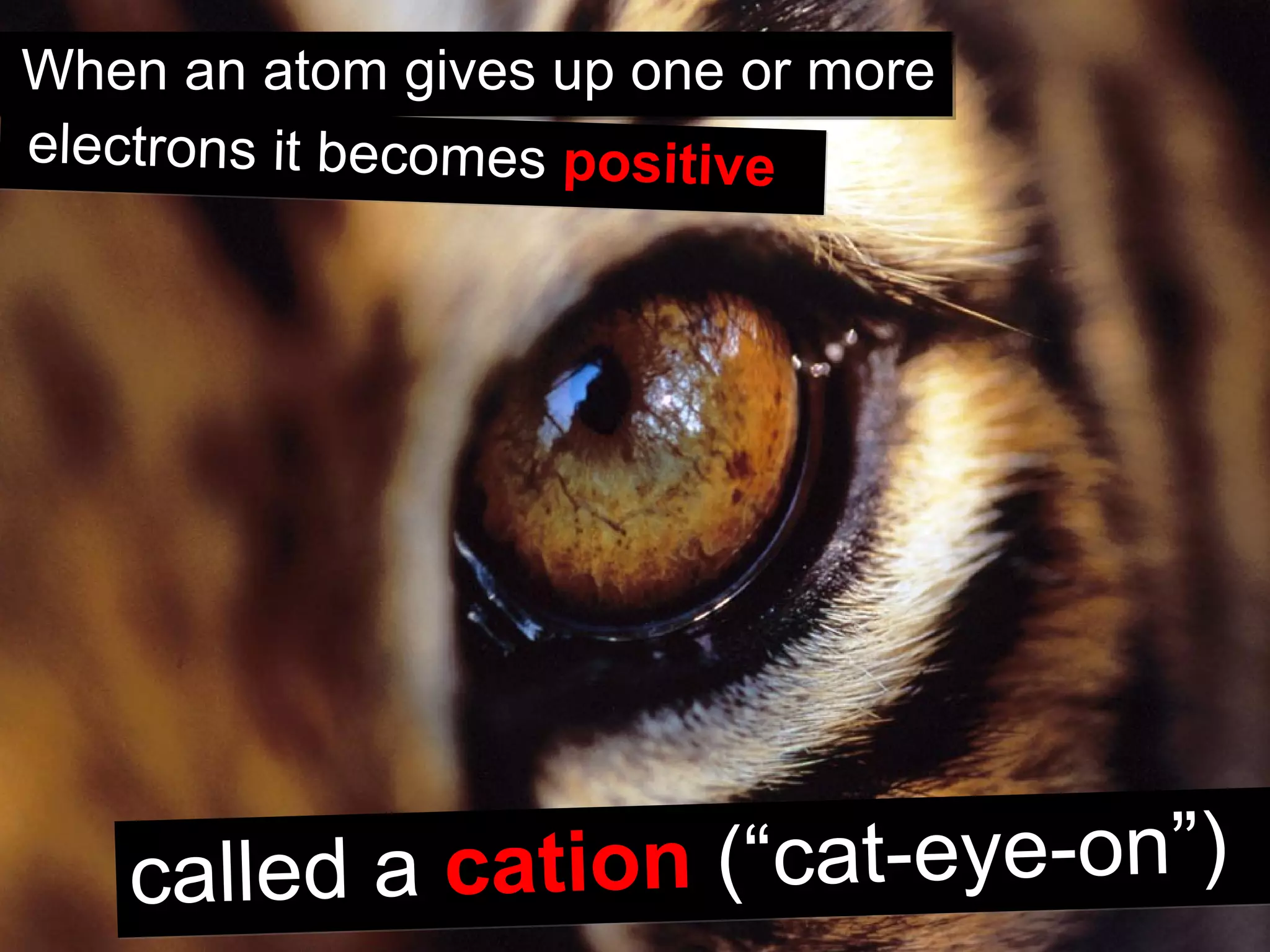 Grade 9, U1-L12-ionic compounds | PPT