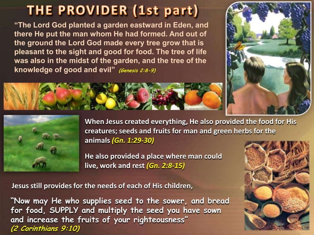 08 jesus provider | PPT
