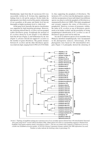 holothuriidae phylo | PDF | Biological Sciences | Science