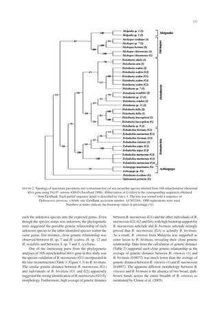holothuriidae phylo | PDF | Biological Sciences | Science
