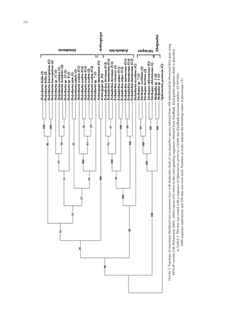 holothuriidae phylo | PDF