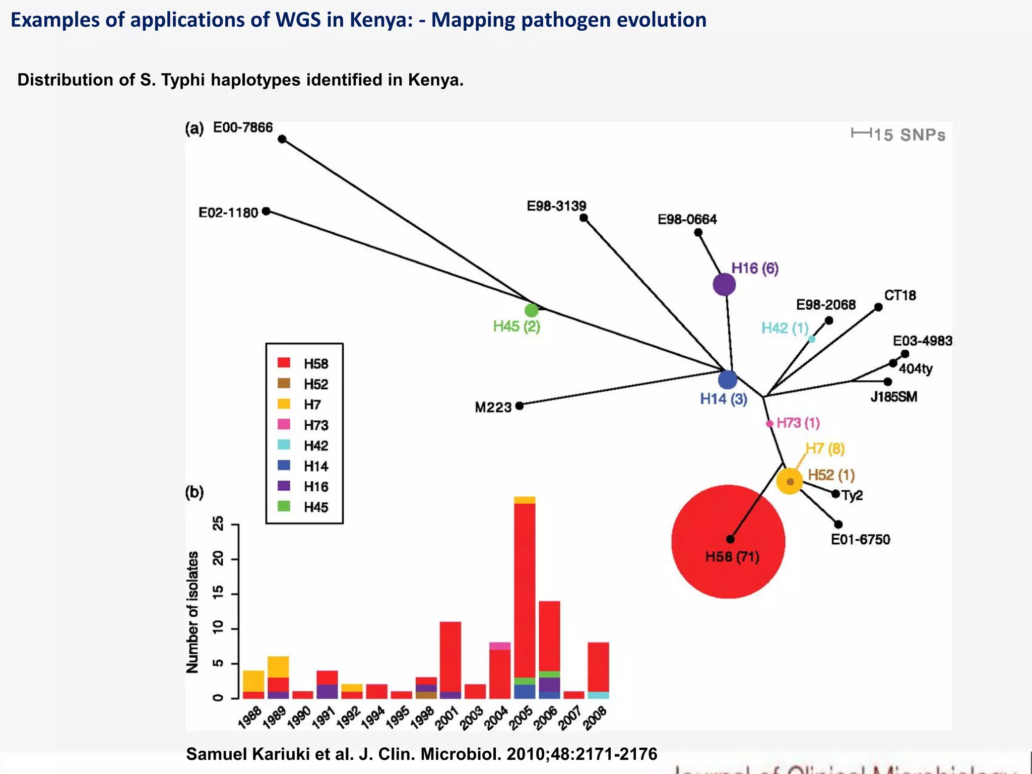 Whole Genome Sequencing (WGS) for food safety management: Perspectives ...