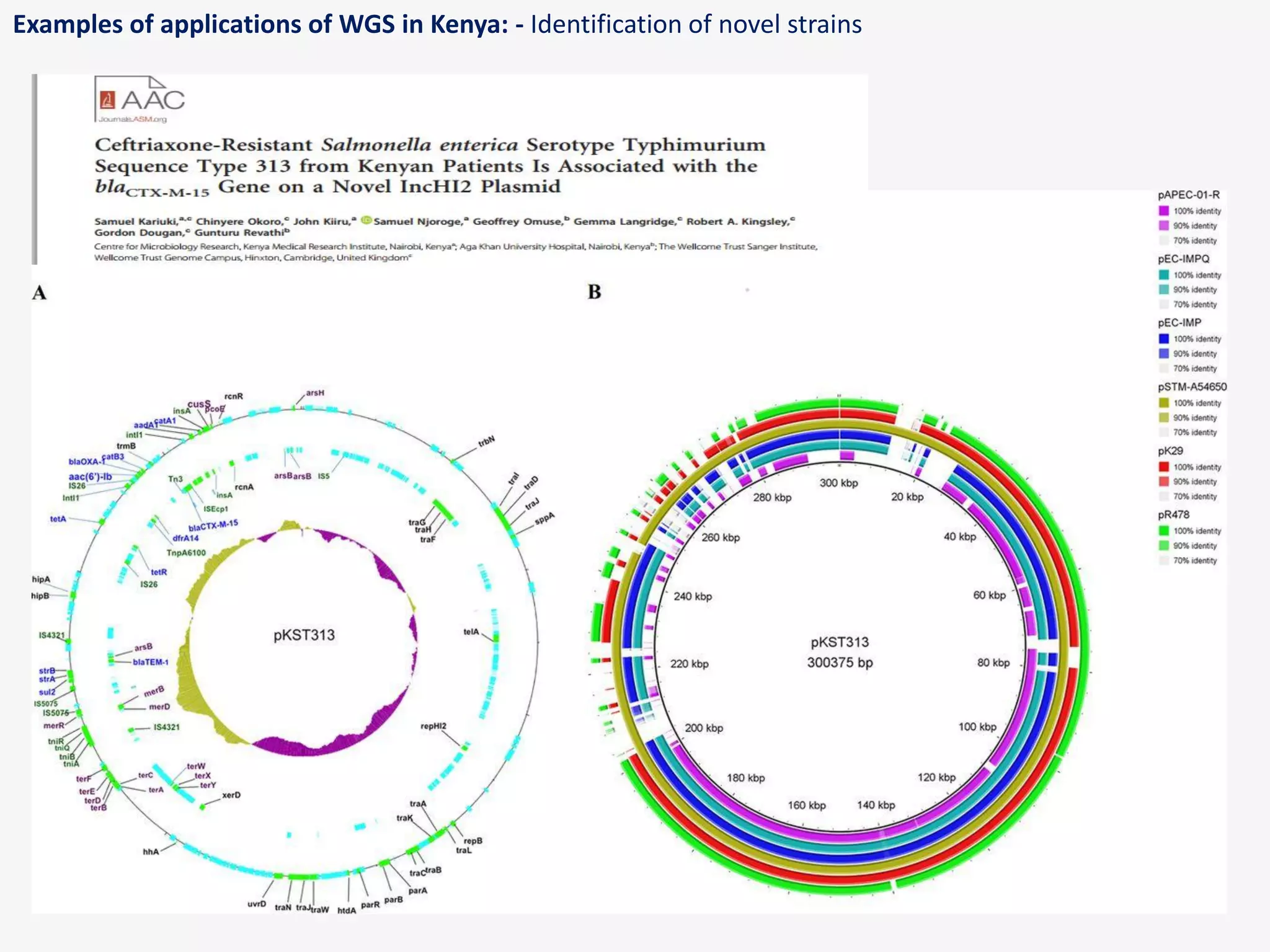 Whole Genome Sequencing (WGS) for food safety management: Perspectives ...