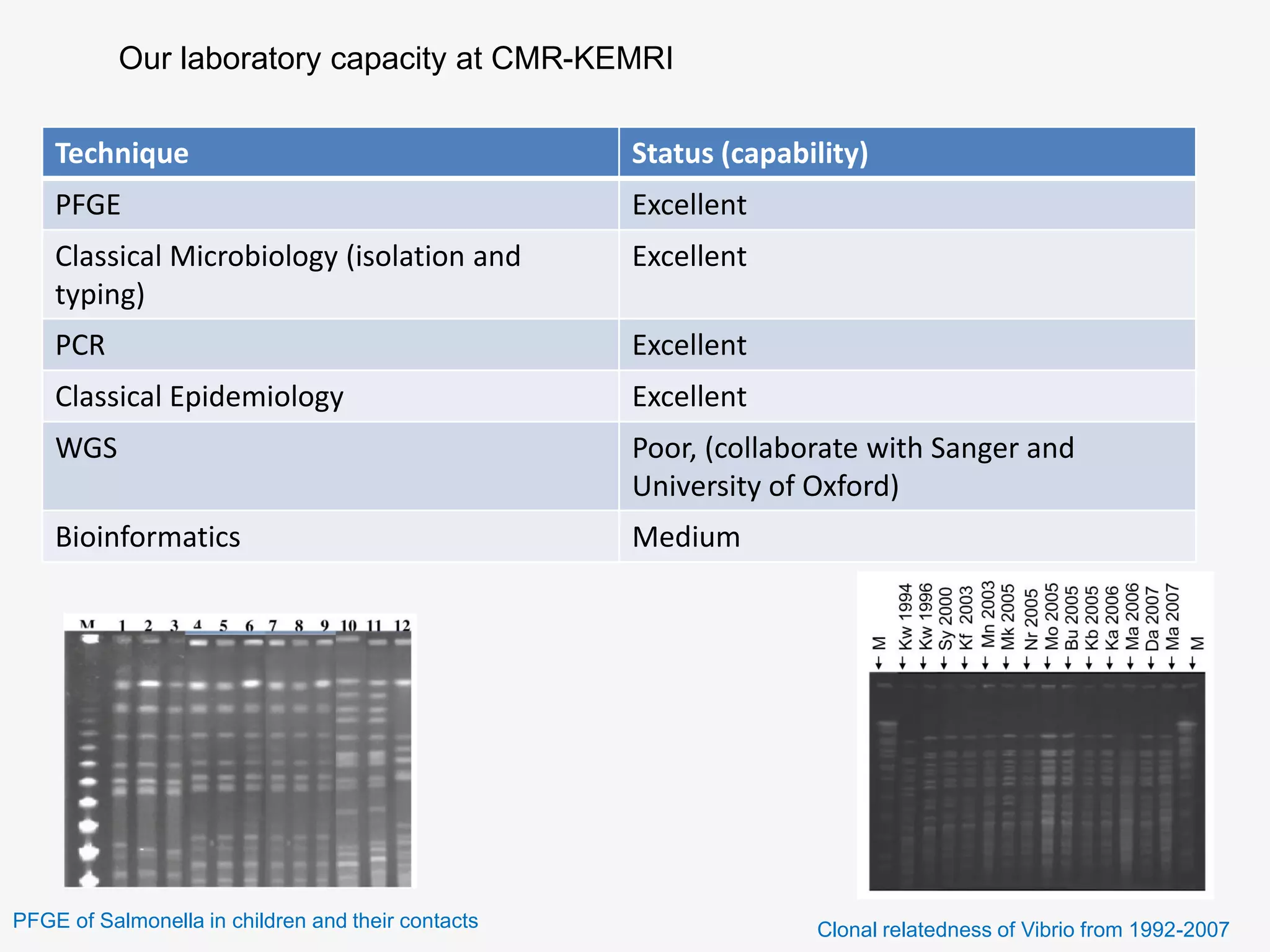 Whole Genome Sequencing (WGS) for food safety management: Perspectives ...