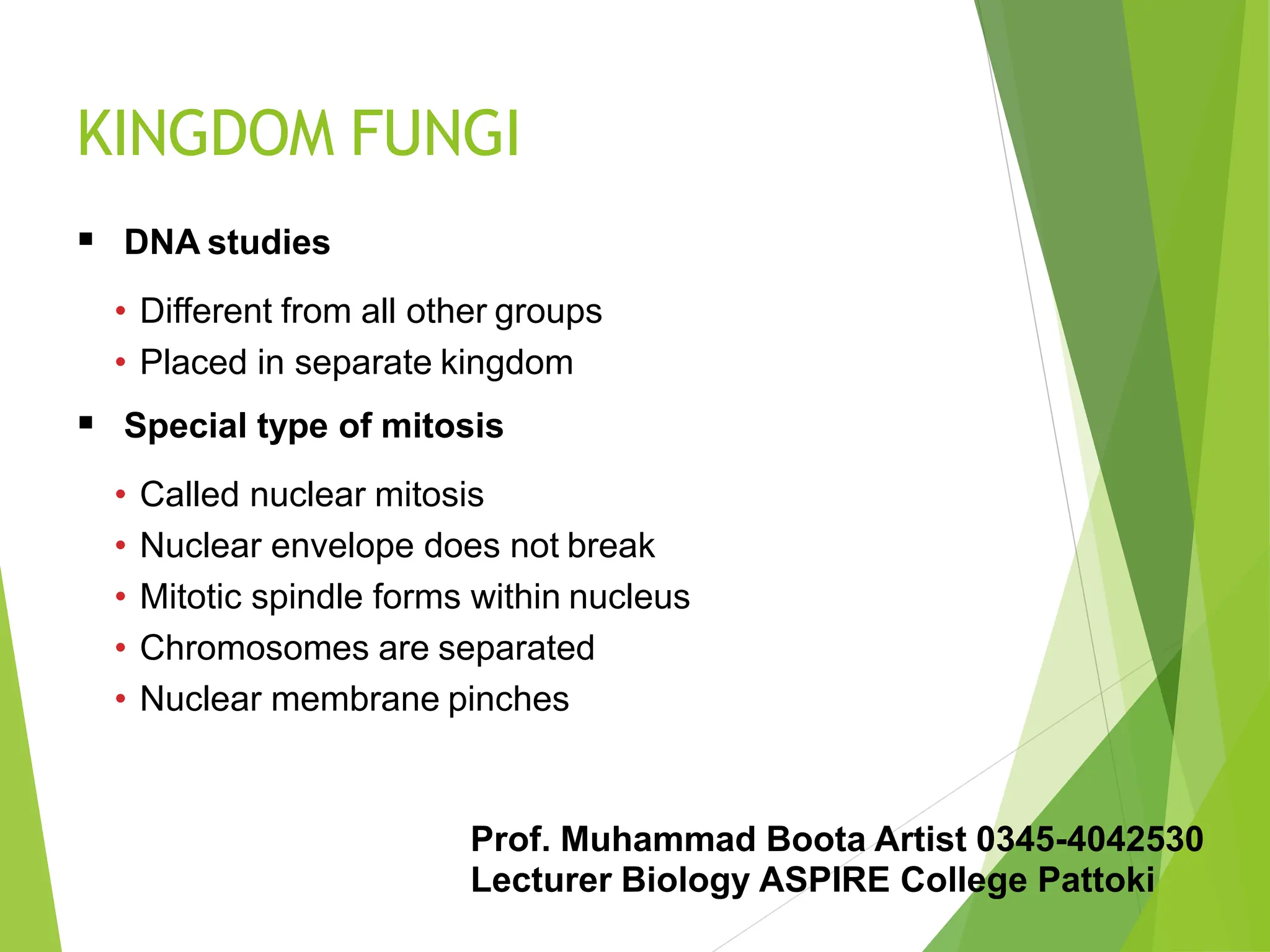 08_Kingdom_Fungi617[1].pptx