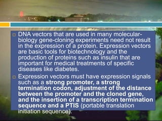08 Kjm206 Expression Vector, Plasmid Vector | PPTX