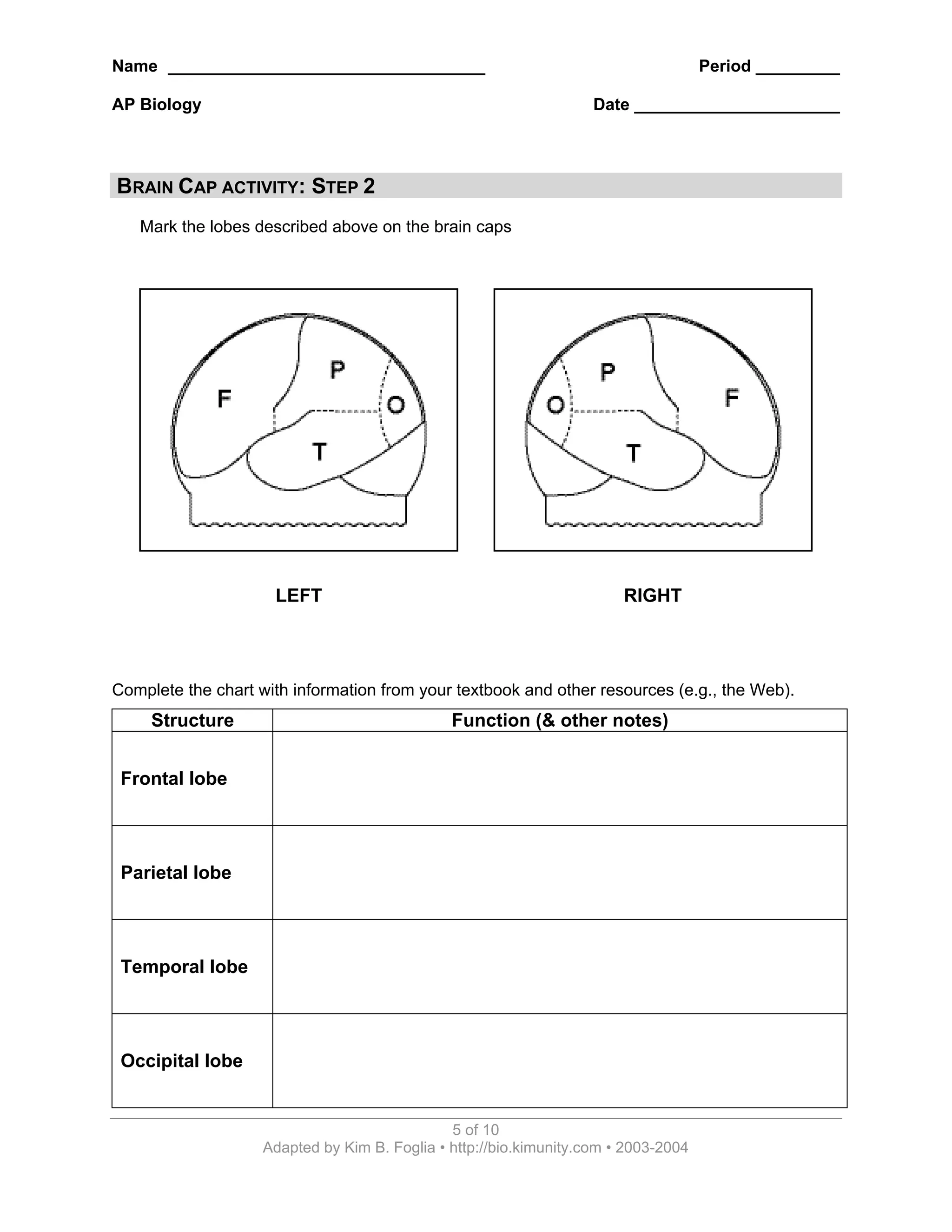 08 labbrainanatomy | PDF