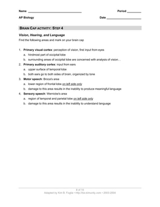 08 labbrainanatomy | PDF