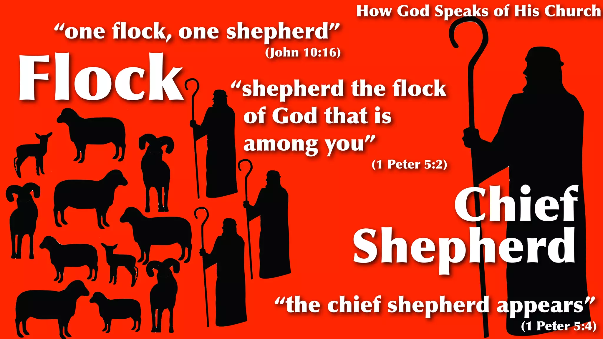 Set in Order What is Lacking | PPT