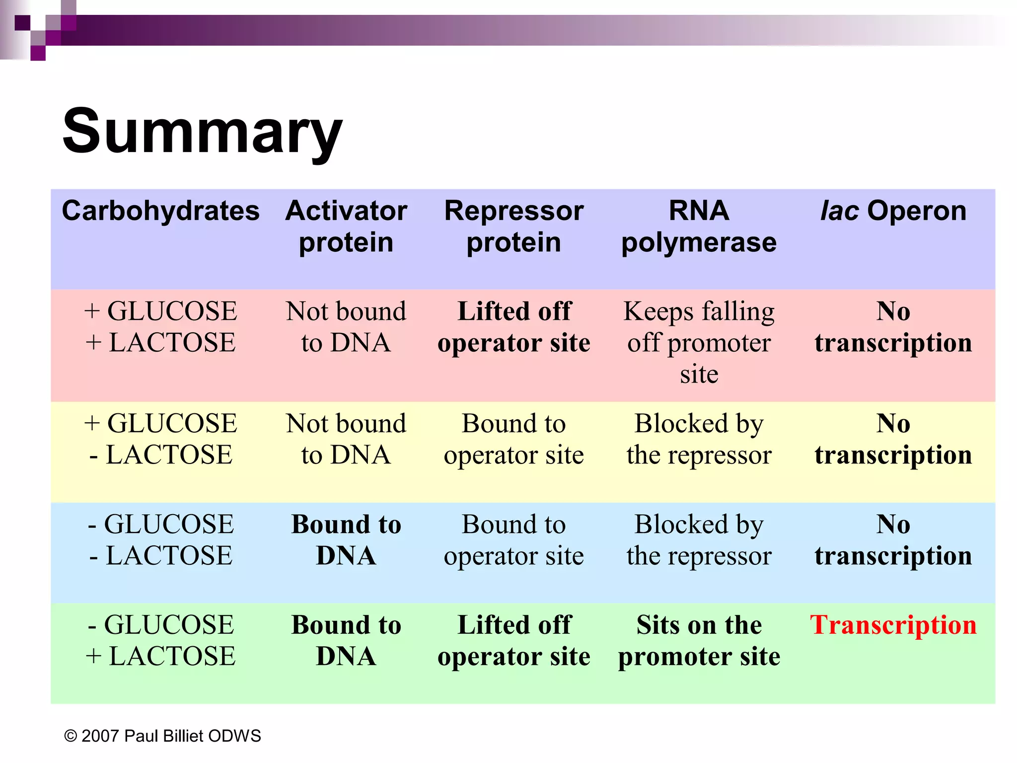 08 lac operon | PPT
