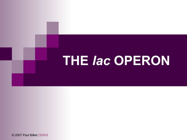 08 lac operon | PPT | Genetics | Science