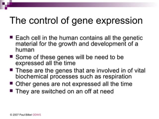 08 lac operon | PPT | Genetics | Science