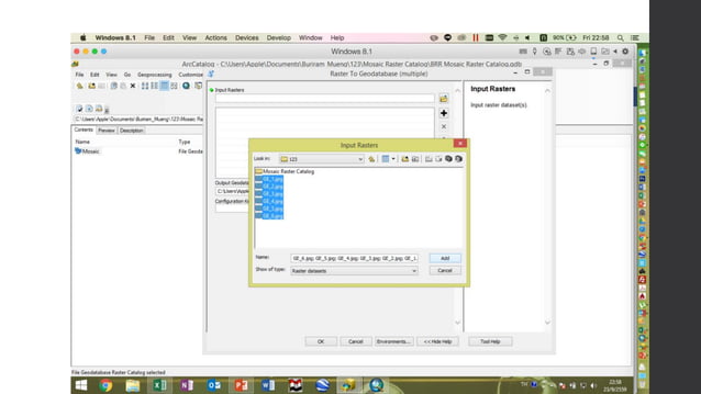 08 Mosaic Raster Catalog | PPT