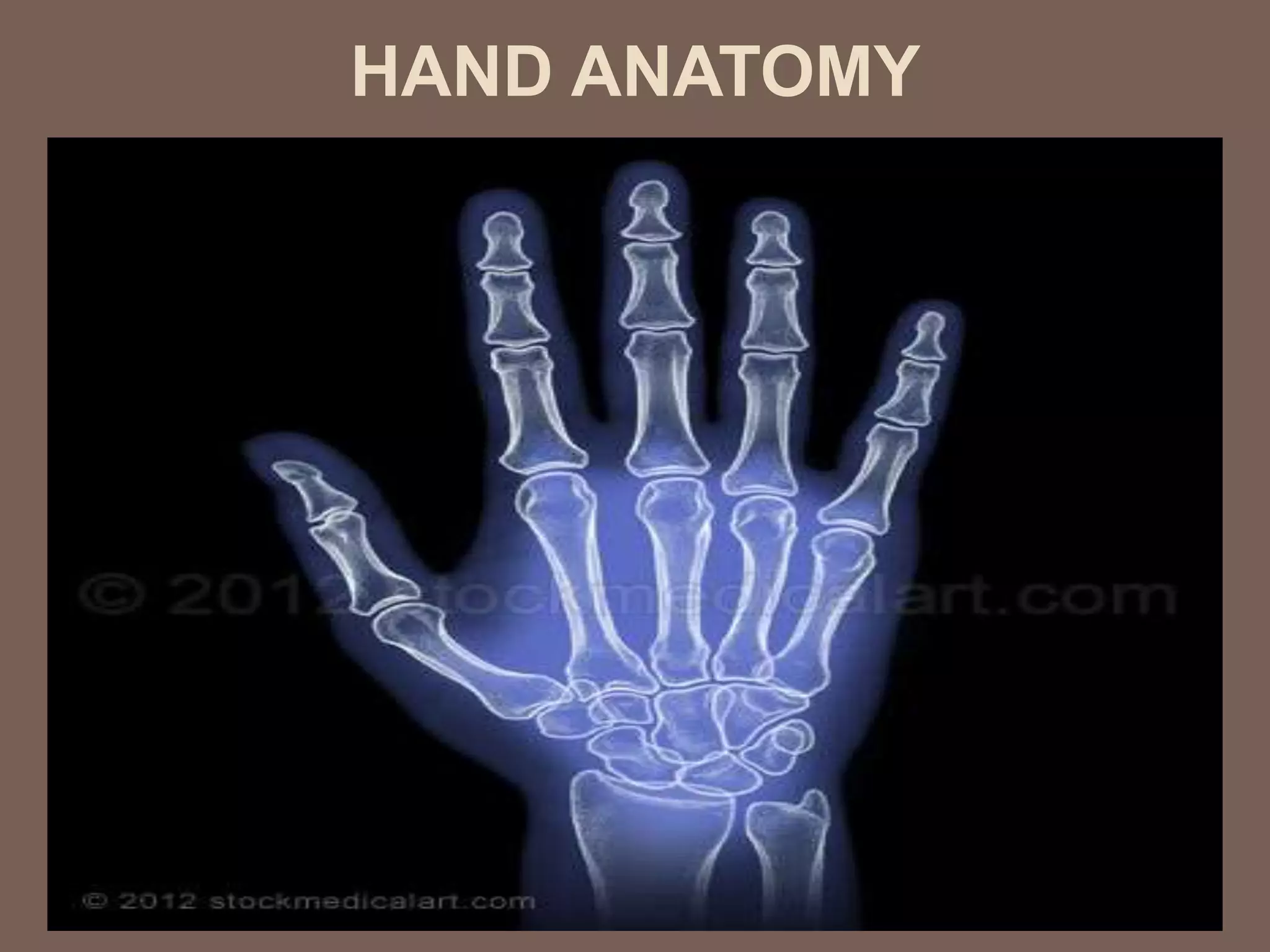 PALPATION_HAND_2018.pptx