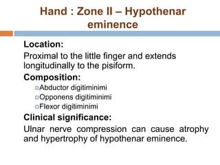 PALPATION_HAND_2018.pptx