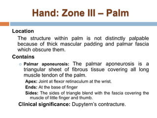 PALPATION_HAND_2018.pptx