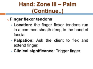 PALPATION_HAND_2018.pptx