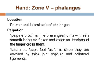 PALPATION_HAND_2018.pptx