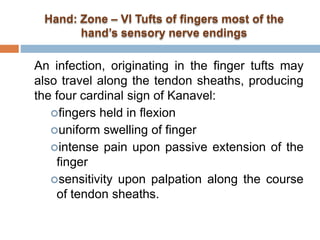 PALPATION_HAND_2018.pptx
