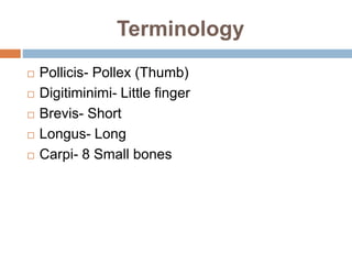 PALPATION_HAND_2018.pptx