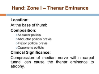 Palpation Hand 2018 Pptx